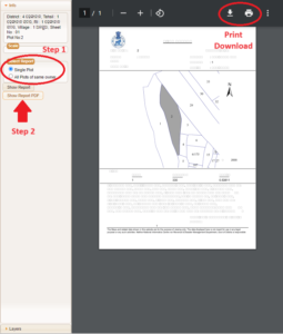 Bhunaksha Odisha – Bhulekh Village Map with Plot No.